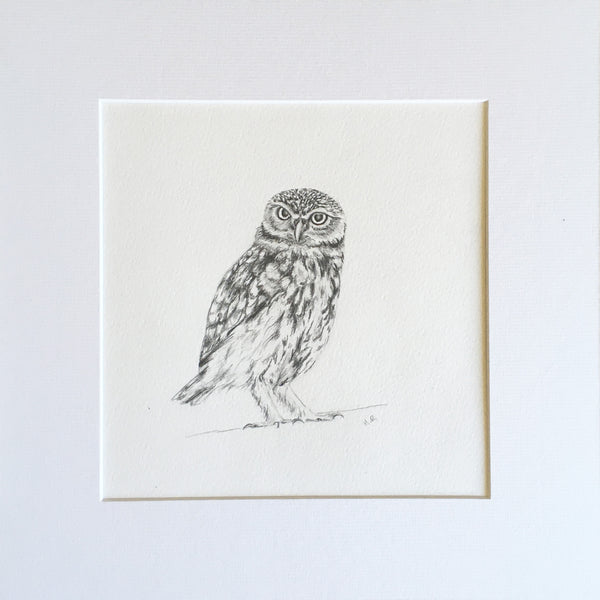 Little Owl Pencil Sketch – The Bluebird Embroidery Company
